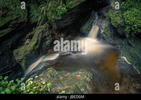Waterfall at the magical Pucks Glen walk, Benmore in Argyll Forest Park ...