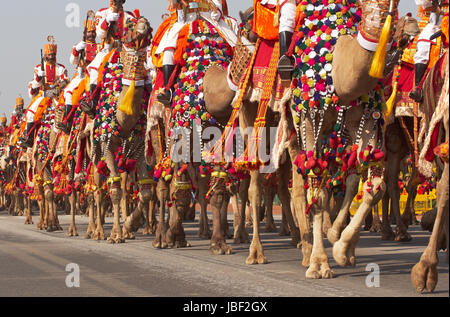 Soldiers of the Indian Army Camel Corps riding down the Raj Path in ...