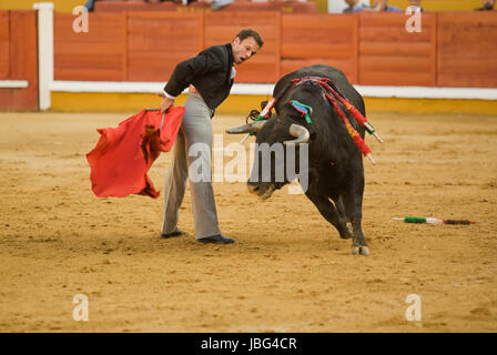 Spanish torero performing a bullring, Badajoz, Spain Stock Photo - Alamy
