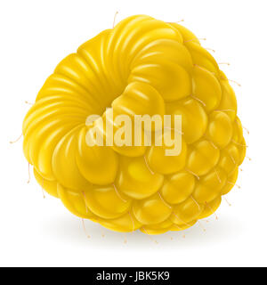 Fresh yellow raspberry isolated on white background. Realistic ...
