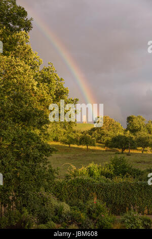 Rainbow behind Tree Stock Photo - Alamy