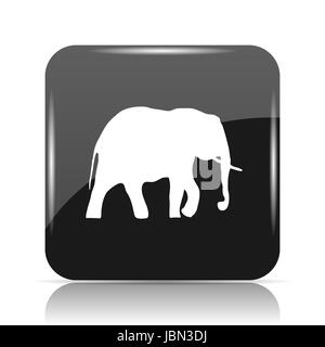 Elephant icon. Internet button on white background Stock Photo - Alamy