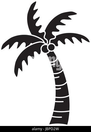 contour palm tree with coconuts and leaves Stock Vector Image & Art - Alamy