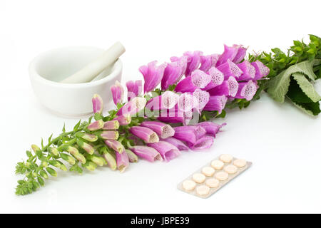 Roter Fingerhut mit Mörser, Stößel und Tabletten vor weißem Hintergrund ...