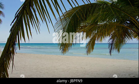 real caribbean paradise saona island Stock Photo - Alamy