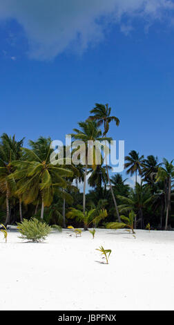 real caribbean paradise saona island Stock Photo - Alamy