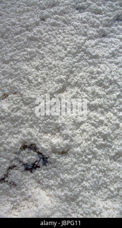 old weathered caribbean salt refinery Stock Photo - Alamy