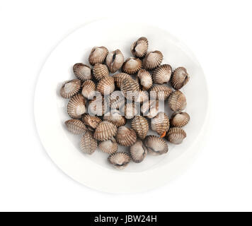 blood cockle cooked on a white dish Stock Photo - Alamy