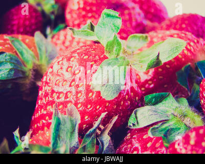 Vintage retro looking Strawberries fruits isolated over a white ...
