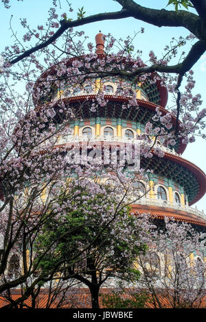 Beautiful Floral Border for adv or others purpose use Stock Photo - Alamy