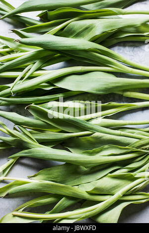 Cut flower stalks Stock Photo - Alamy