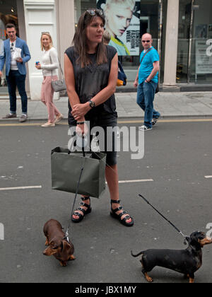 Dogs and woman , Streets, City & town life, Dogs. Photographs by Ernst ...
