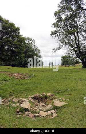 Thames Head (the source of the River Thames), near Kemble, Cotswolds ...