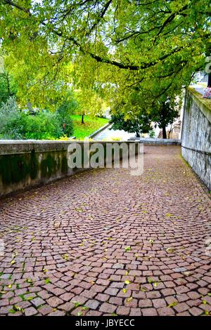 Moss-covered cobblestone path in an old park, evoking history ...