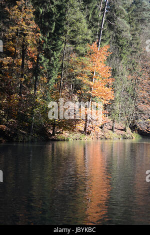 Amselsee, Herbst, rathen, kurort rathen, see, stausee, teich, weiher ...