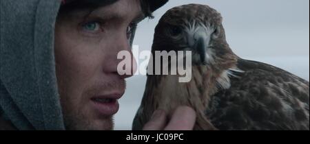 CILLIAN MURPHY, ALOFT, 2014 Stock Photo - Alamy