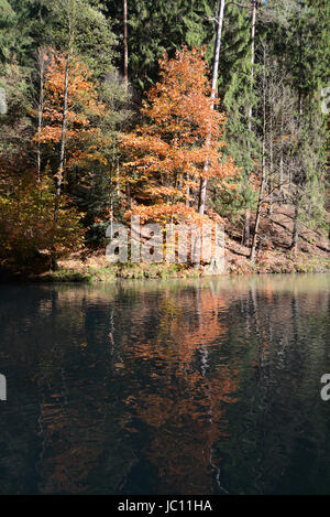 Amselsee, Herbst, rathen, kurort rathen, see, stausee, teich, weiher ...