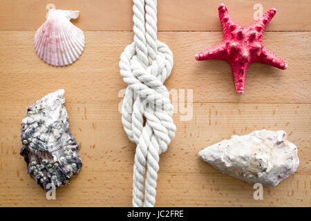 Closeup shot of seashells, starfish and knot from sailing travels Stock ...