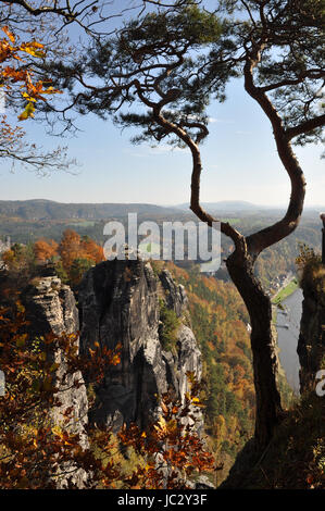 bastei, basteifelsen,elbe, elbtal, fluss, schiff, frachtschiff, fels ...