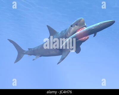 Megalodon shark eating blue whale - 3D render Stock Photo: 103052614 ...