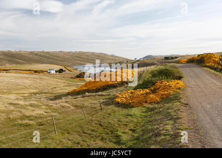 view of Port Howard settlement, Falkland Islands Stock Photo - Alamy