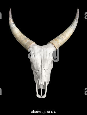 The skull of a horned animal as a traditional detail at the entrance to ...