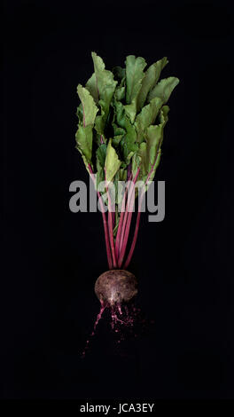 red beet with water splash isolated on white Stock Photo - Alamy