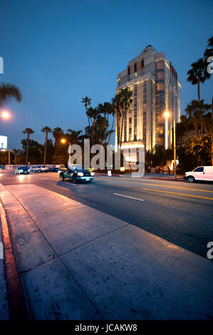 Palm Trees, Sunset Boulevard, Hollywood, California Stock Photo - Alamy