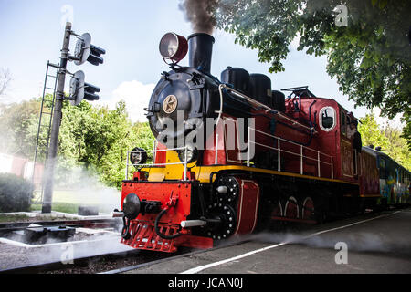 Steam locomotive with the smoke blowing off out of the smokestack Stock ...