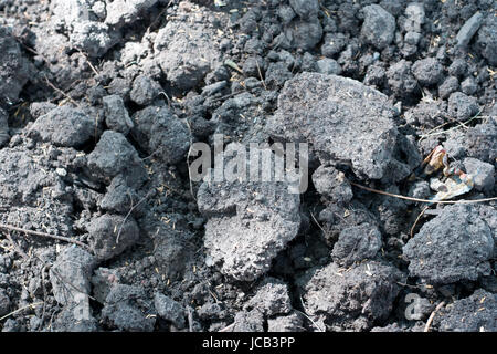 Close-up of alluvial soil as a texture/background Stock Photo - Alamy