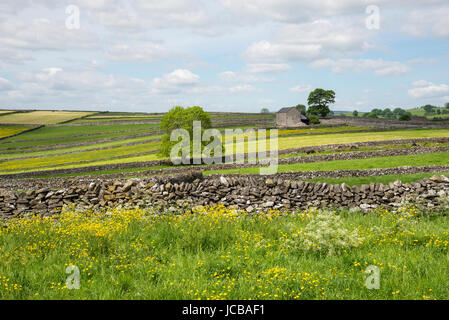 Limestone walls on the outskirts of Litton village in the White Peak ...