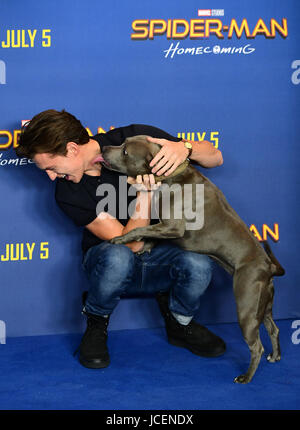 Tom Holland and his dog Tessa attending the Dolittle premiere ...