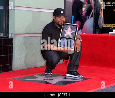 Hollywood, CA. 12th June, 2017. Brother, Sister, Hosea Jackson, O'Shea ...