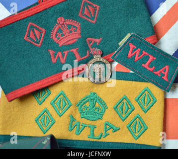 Women's Land Army insignia, WW2 Home Front Stock Photo - Alamy