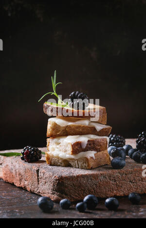 Black bread sandwich with melted cheese salad and tomatoes on a green ...