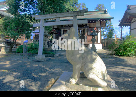A Guardian Cat Komainu at Azusami-Tenjin-sha Shinto Shrine in Tachikawa ...