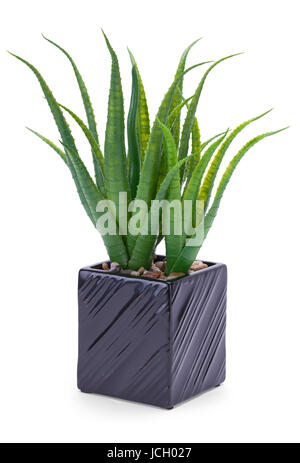 Flower pot, side view, isolated on white background Stock Photo - Alamy