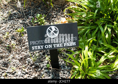 Stay on the Path Stock Photo: 100846075 - Alamy