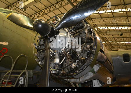 B 17 Sally B Flying Fortress The Memphis Belle the Film SEPIA Vintage ...