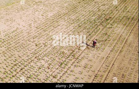 Tongliao, China's Inner Mongolia Autonomous Region. 16th June, 2017 ...