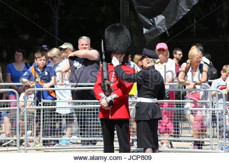 The 1st. Battalion Coldstream Guards are Trooping their Colour in the ...