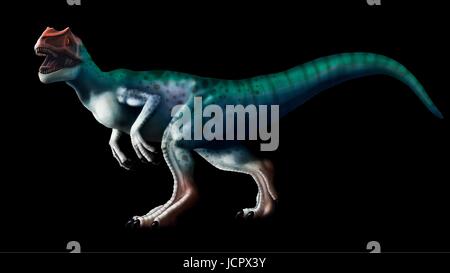 Allosaurus dinosaur, artwork. Allosaurs were large carnivorous theropods that lived during the ...