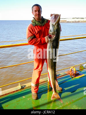 Male sturgeon on the deck. Catching sturgeon and beluga Stock Photo - Alamy