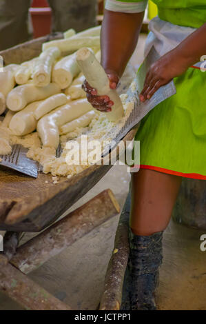 Grated yucca being prepared for bread in a Siona village in the ...