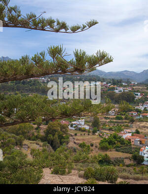 Barranco of Santa Brigida, Gran Canaria, Canary Islands, Spain Stock ...