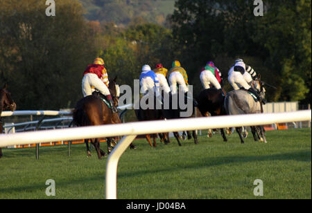 Jump jockeys racing at Cheltenham racecoure Stock Photo - Alamy