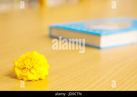 Books and chrysanthemum (knowledge is like flowers Stock Photo - Alamy