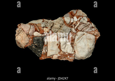 leesburg limestone conglomerate, sedimentary rock, from near Leesburg ...