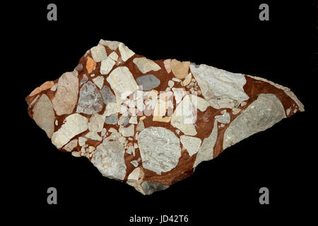leesburg limestone conglomerate, sedimentary rock, from near Leesburg ...