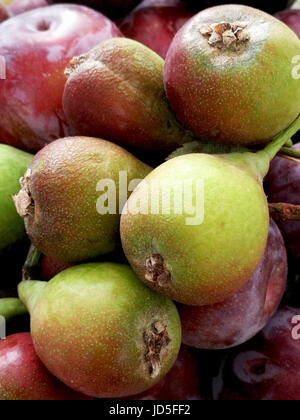 Two fresh pears with red skin and long stalk Stock Photo - Alamy